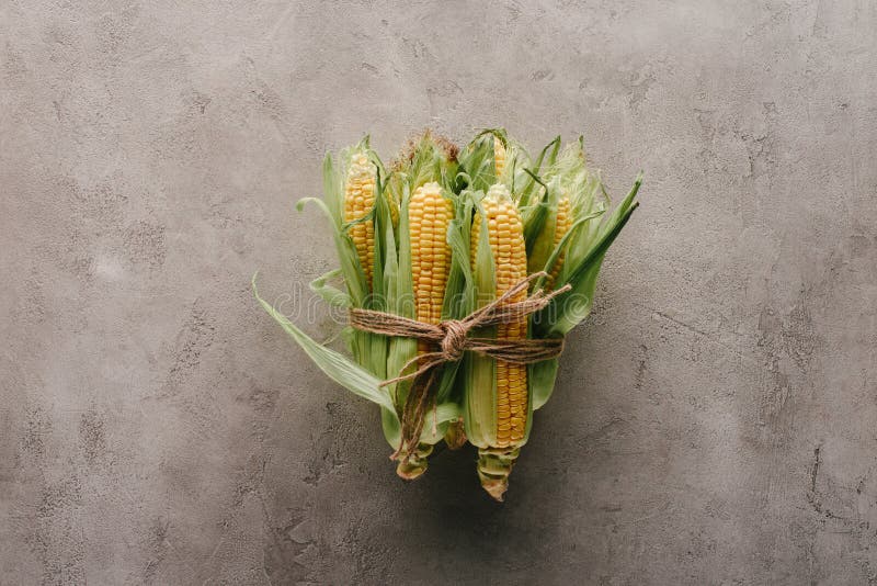 Top View of Fresh Corn Cobs Tied with Rope on Grey Stock Photo - Image ...