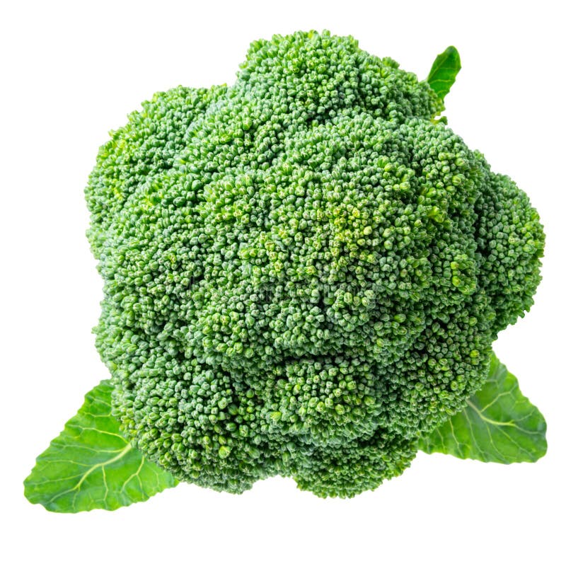 Top View of Fresh Green Broccoli Isolated on White Background Stock ...