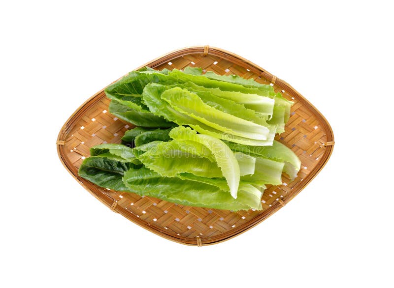 Top View Fresh Green Cos in Bamboo Tray on White Background Stock Photo ...