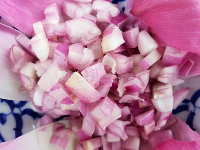 Top view of fresh onion. stock photo. Image of group - 124927762