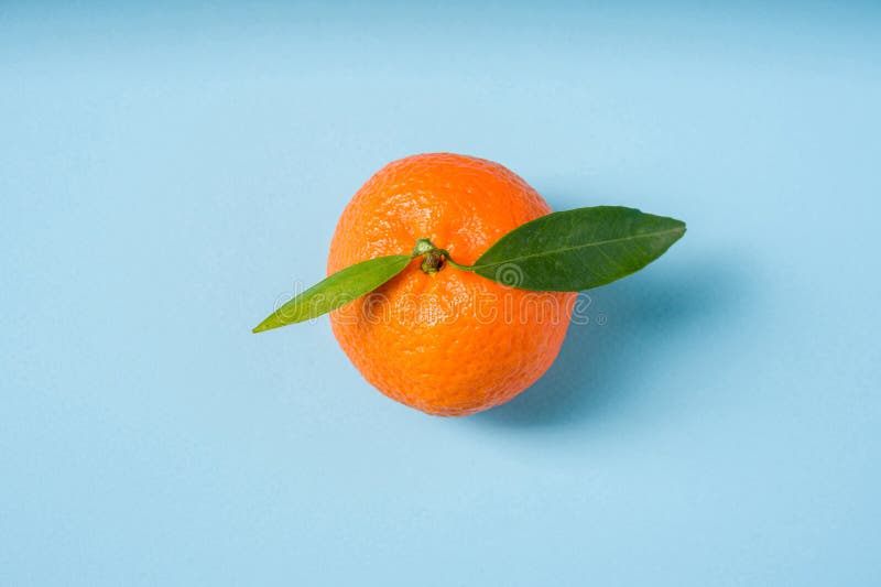 Top View of Fresh Organic Tangerine on Blue Background Stock Photo ...