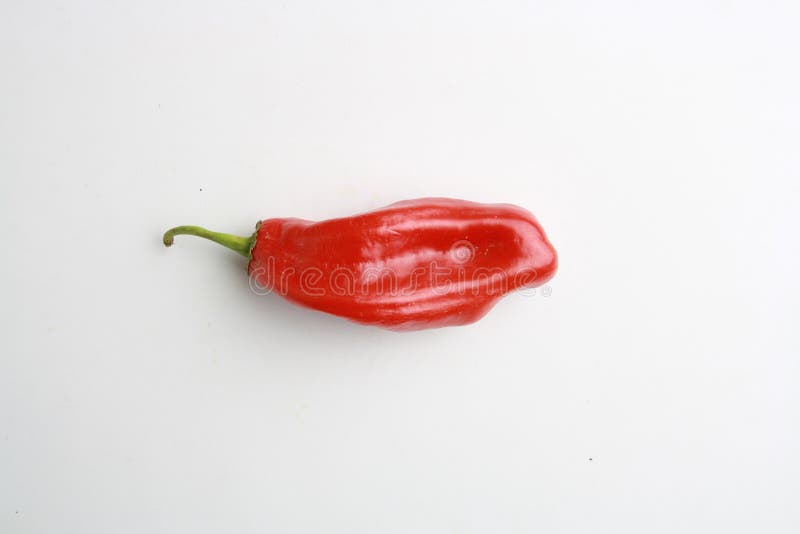 Top View of Fresh and Raw Red Pepper on a White Background Stock Image ...