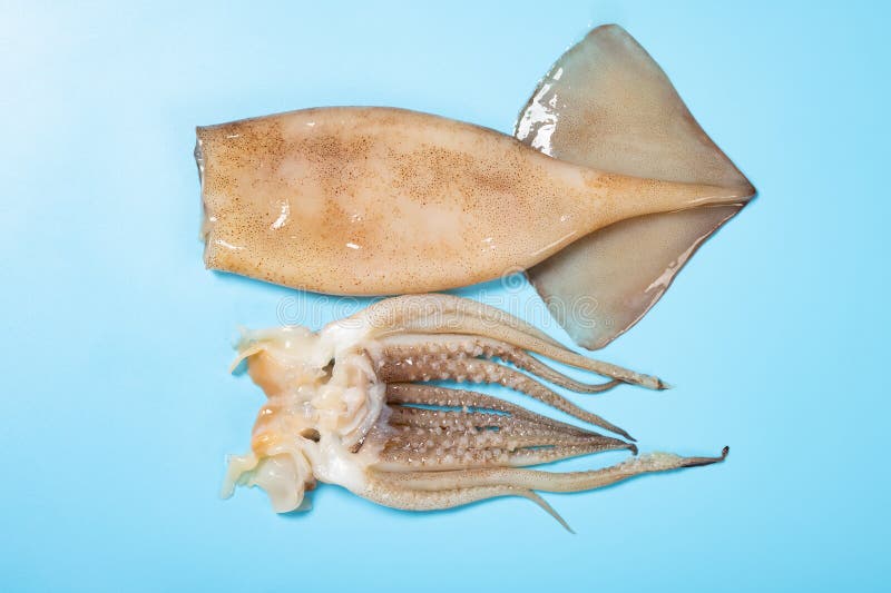 Top View Fresh Raw Squid on Blue Background Stock Photo - Image of ...