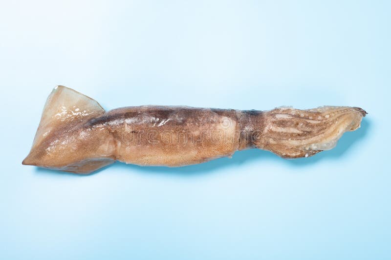 Fresh Raw Squid on Blue Background Stock Image - Image of meat ...