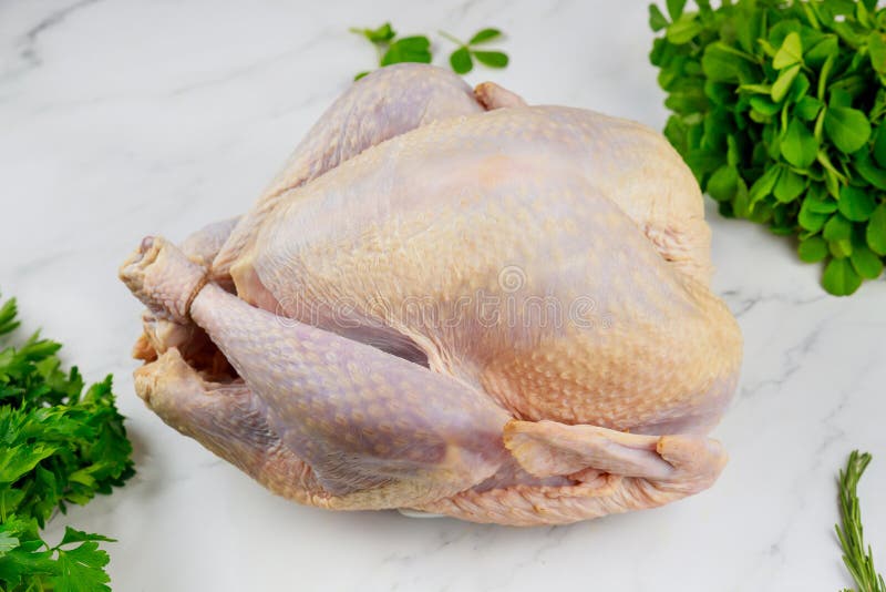 Top View of Fresh Raw Turkey on White Surface. Stock Image - Image of ...