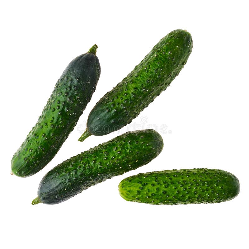 Top View of Fresh Spring Cucumber Stock Photo - Image of full, food ...