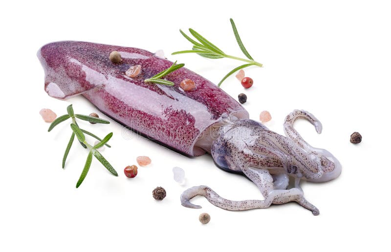 Top View Fresh Squid with Spices Stock Image - Image of fish, uncooked ...