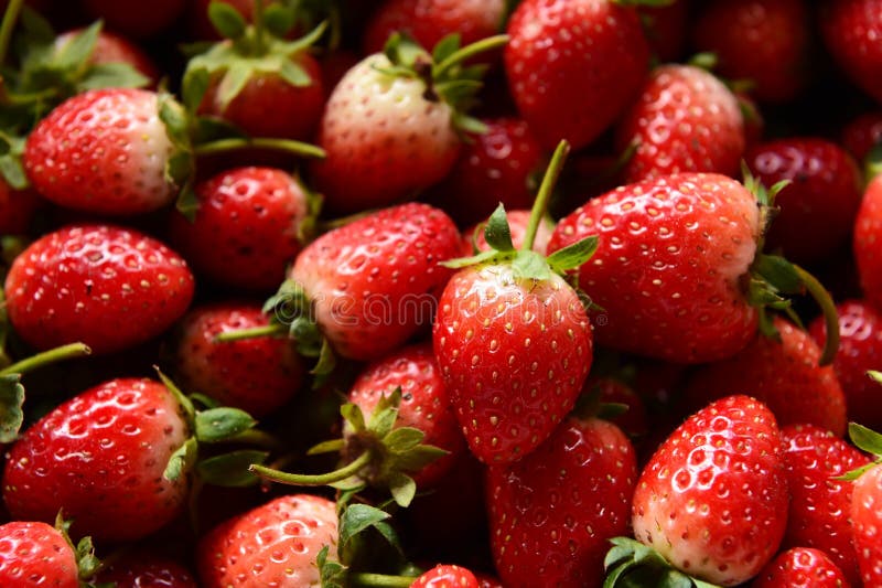Top View of Fresh Strawberry Stock Image - Image of delicious ...