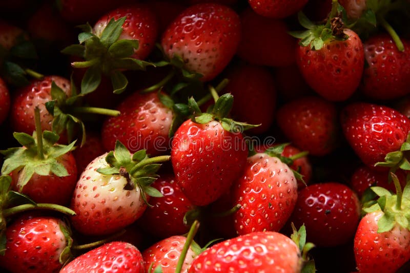 Top View of Fresh Strawberry Stock Image - Image of dessert, ripe ...