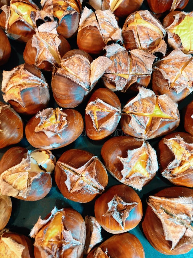 Top View of the Fresh and Tasty Chestnuts in Their Brown Shells Stock ...