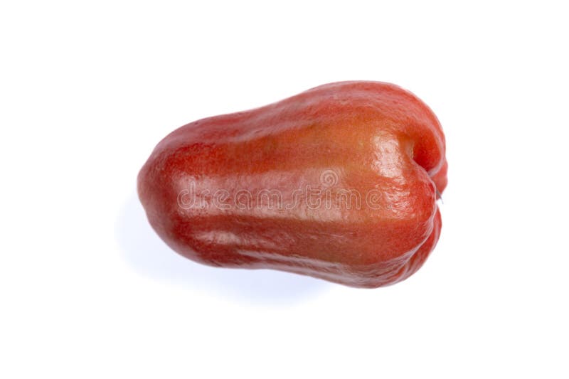 Top View Fresh Wax Apple on a White Background Stock Image - Image of ...