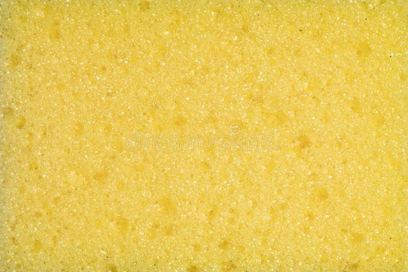Top View Full Frame Cleaning Sponge Stock Image - Image of tools, macro ...
