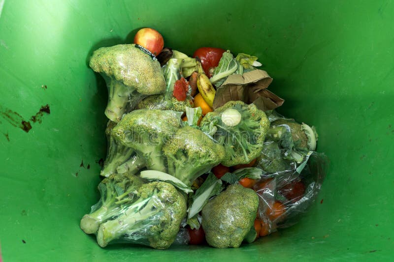 Top View of Garbage Can with of Rotting Broccoli in Plastic Packaging ...