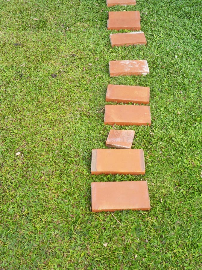 Top view of garden pathway stock image. Image of grass - 62076567