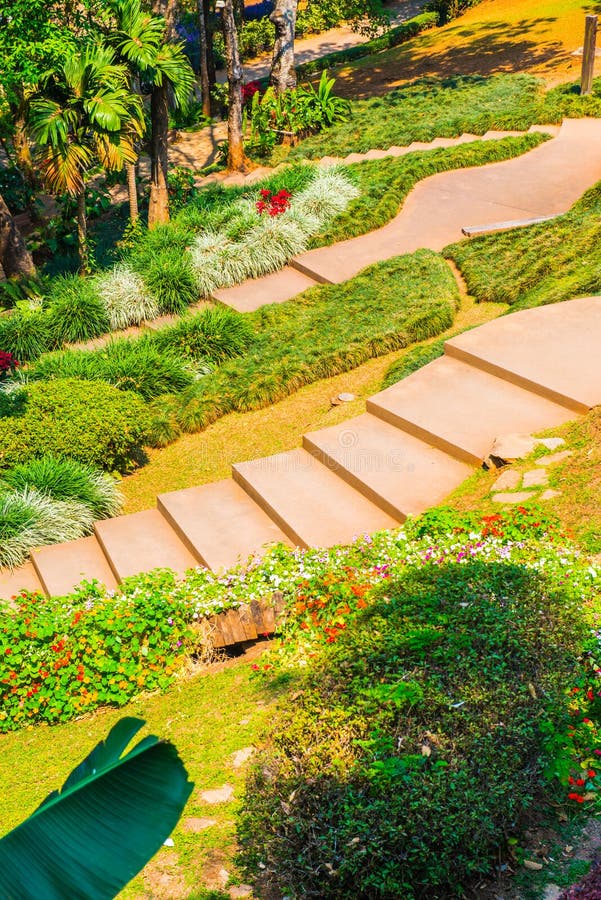 Top view of garden stock photo. Image of landscape, garden - 214447956