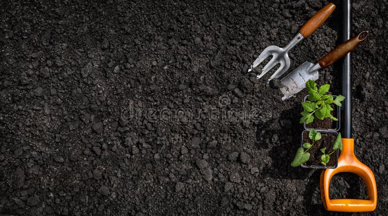 Top View Garden Tools on the Ground. Stock Image - Image of plant ...