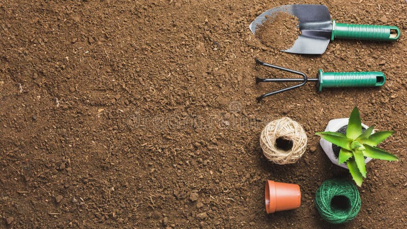 Gardening Tools Soil with Peat Potted Plants. High Quality Photo Stock Image - Image of growth ...