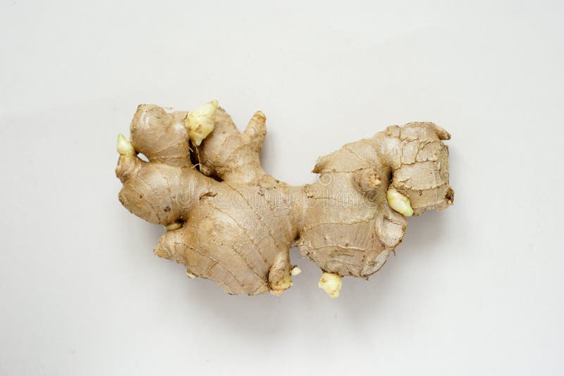 Ginger Root on Cream Colour Background. Stock Image - Image of health ...