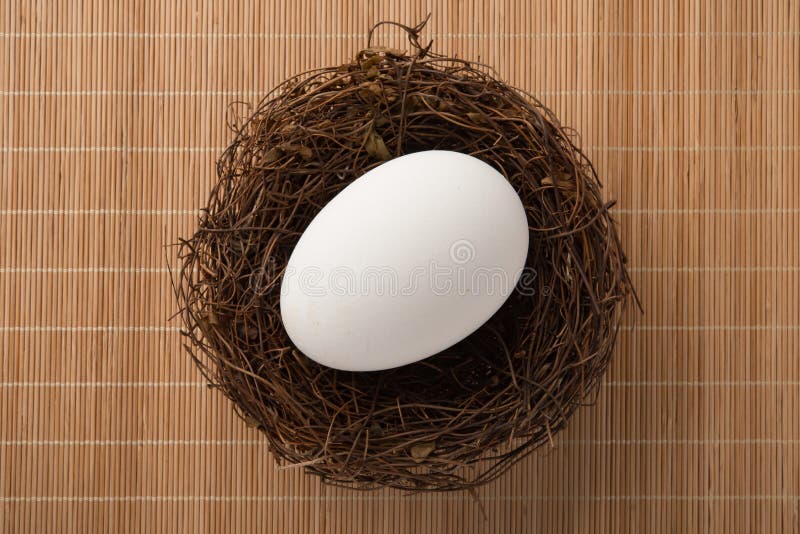 Top view goose egg on nest stock photo. Image of nest - 114140264