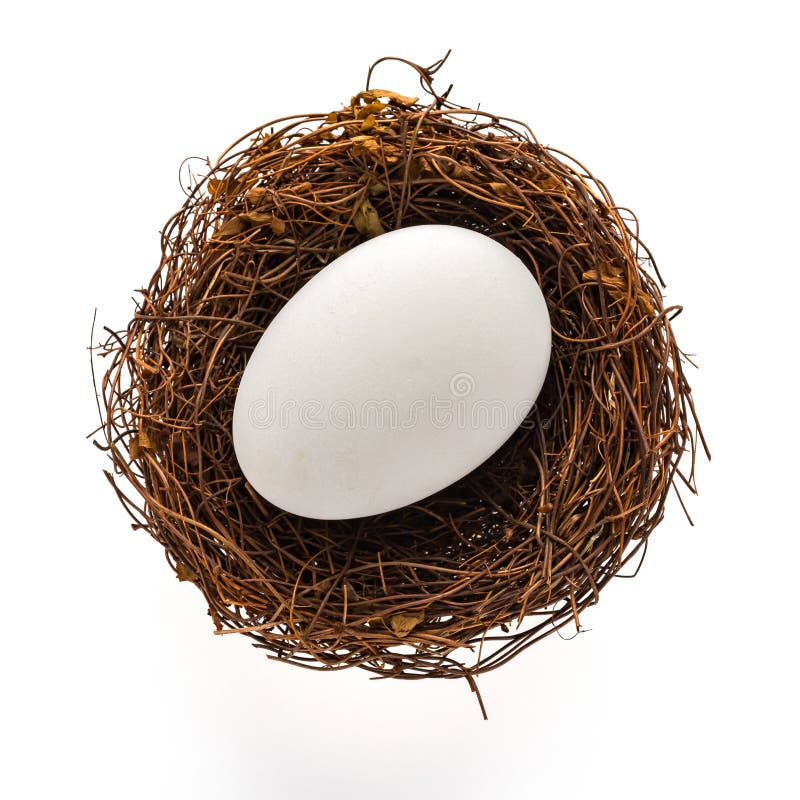 Top View Goose Egg on Nest on White Stock Image - Image of animal ...