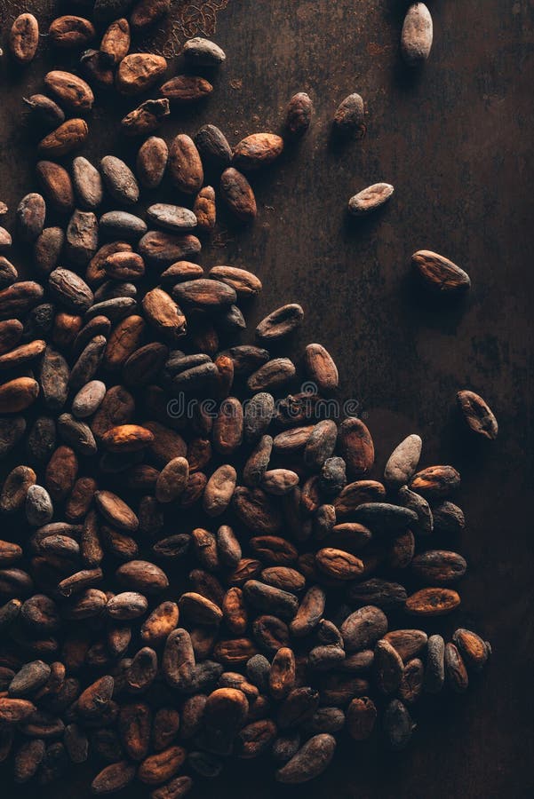 Top View of Gourmet Cocoa Beans Stock Photo - Image of composition ...