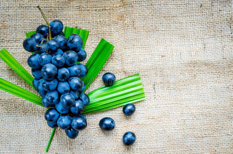 Top View Grape on Green Leaf Stock Photo - Image of agriculture, group ...