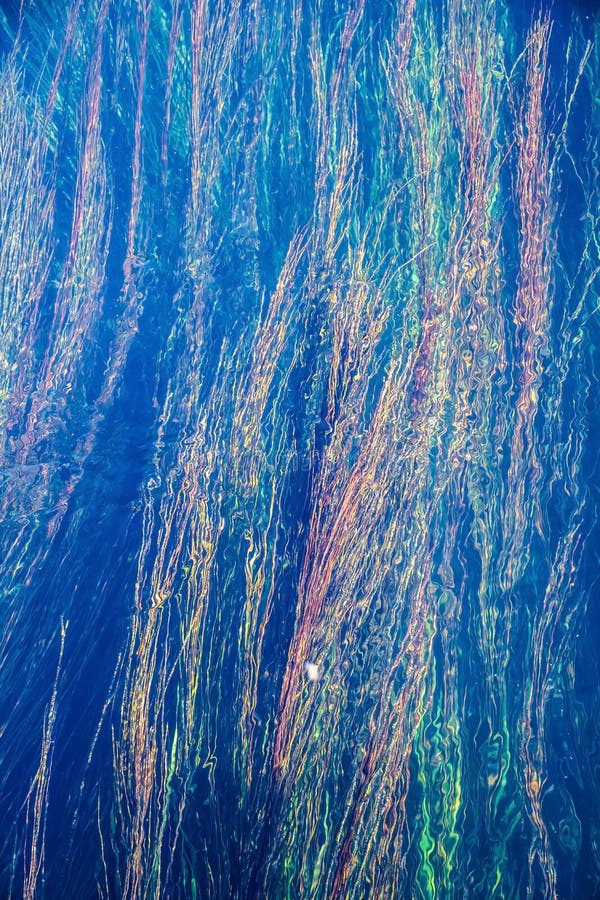 Pond Bottom Top View Plants Stock Photos - Free & Royalty-Free Stock ...