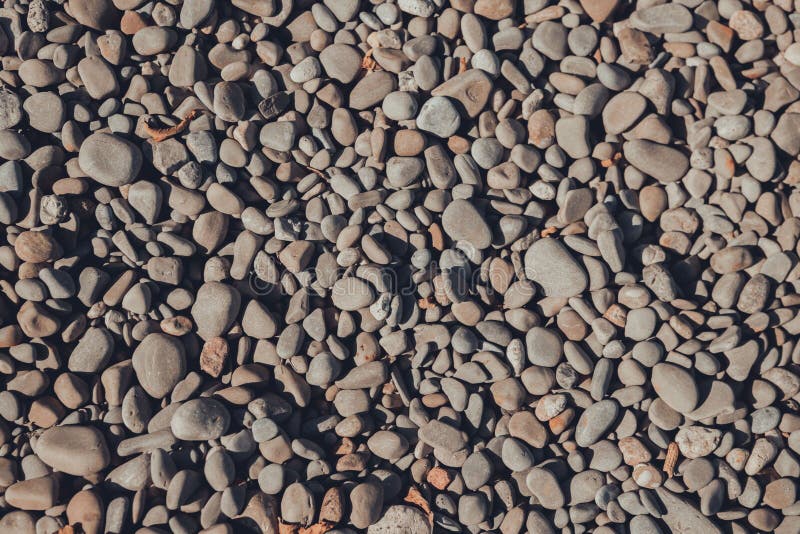 Top View of Gray Beach Pebbles Background Stock Image - Image of ...