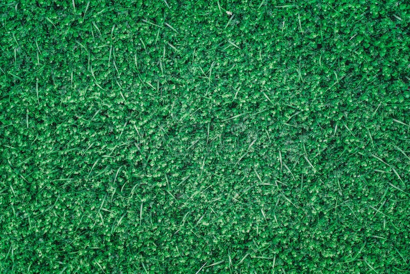 Surface of Green Artificial Plant for Green Abstract Background Stock ...