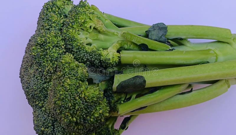 Top View of Green Broccoli on a White Background Stock Video - Video of ...