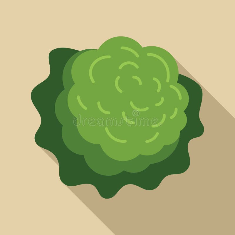 Top View Green Bush Growing on Ground with Long Shadow Stock Vector ...