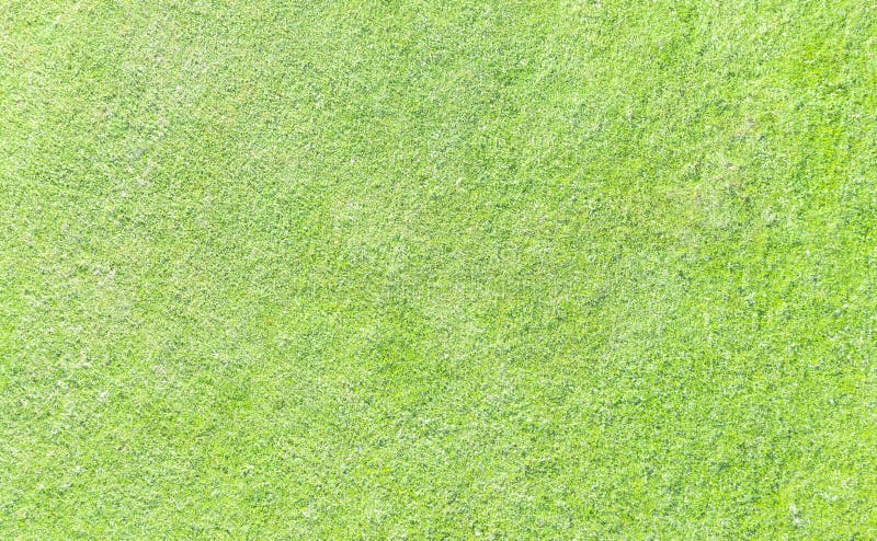 9,379 Texture Lawn Grass Top View Photos - Free & Royalty-Free Stock ...