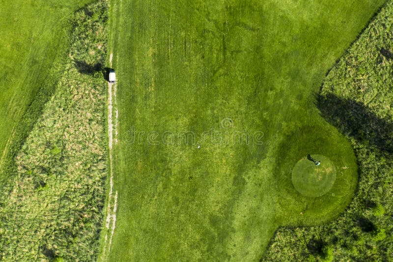 Top View of a Green Golf Field with Beautifully Cut Grass and Trees ...