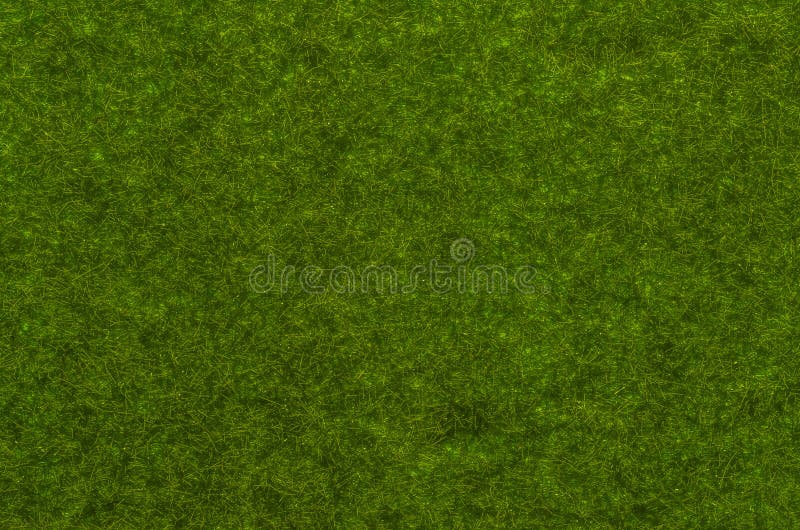 Top View Green Grass Background Stock Image - Image of space ...