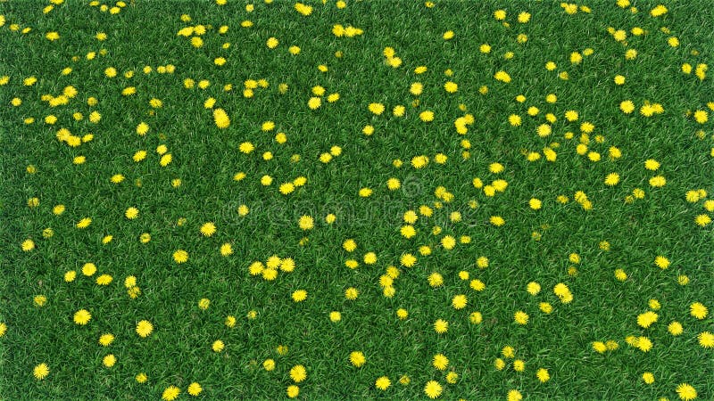 Grass Top View, Seamless Texture Stock Photo - Image of grass, greenery ...