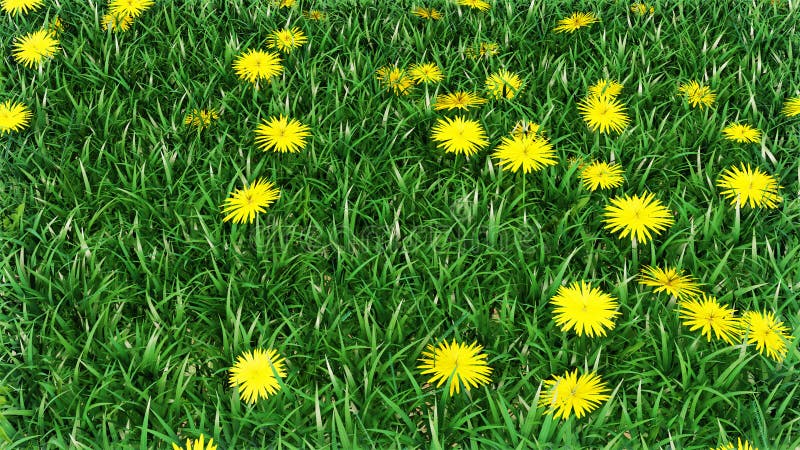 Grass Top View, Seamless Texture Stock Image - Image of environment ...