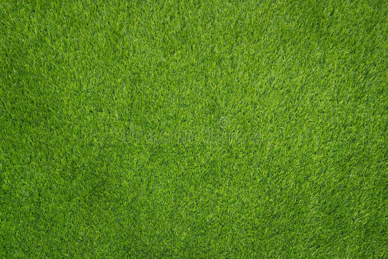 Top View of Green Grass Texture Background. Stock Image - Image of ...