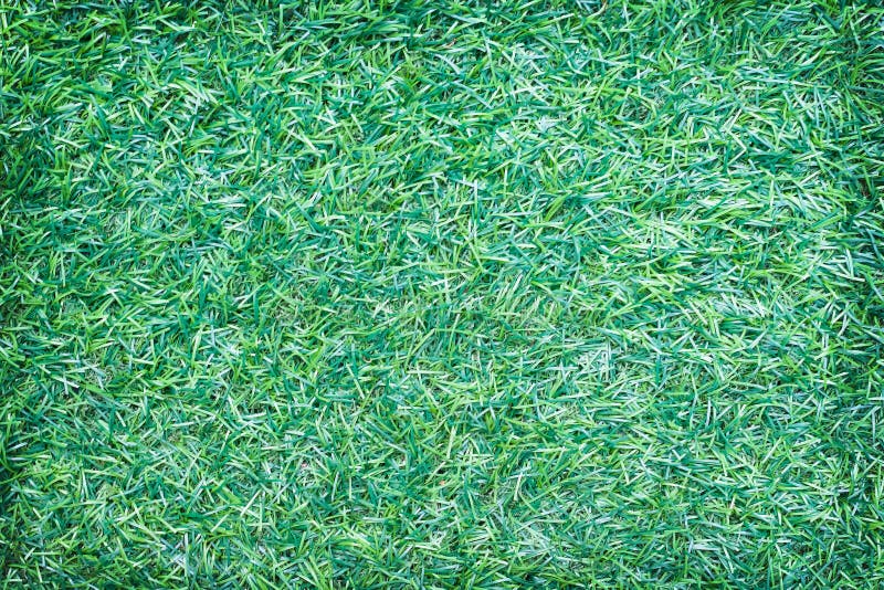 Green Grass Texture with Seamless Patterns Natural Colorful Garden Top ...