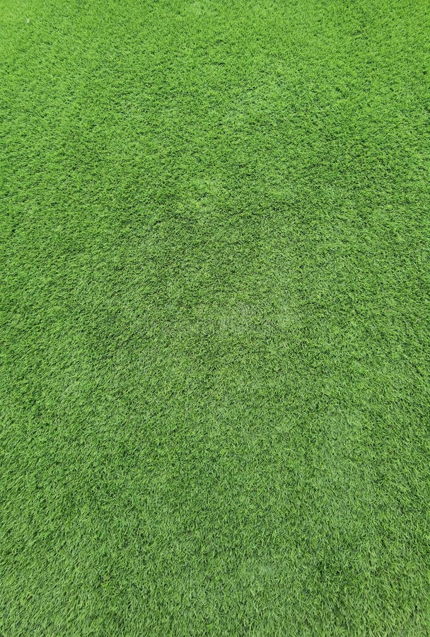 Top view of green grass stock photo. Image of spring - 250058290