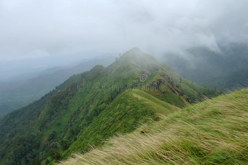 Top view of green hills stock photo. Image of foggy, mountains - 24936508
