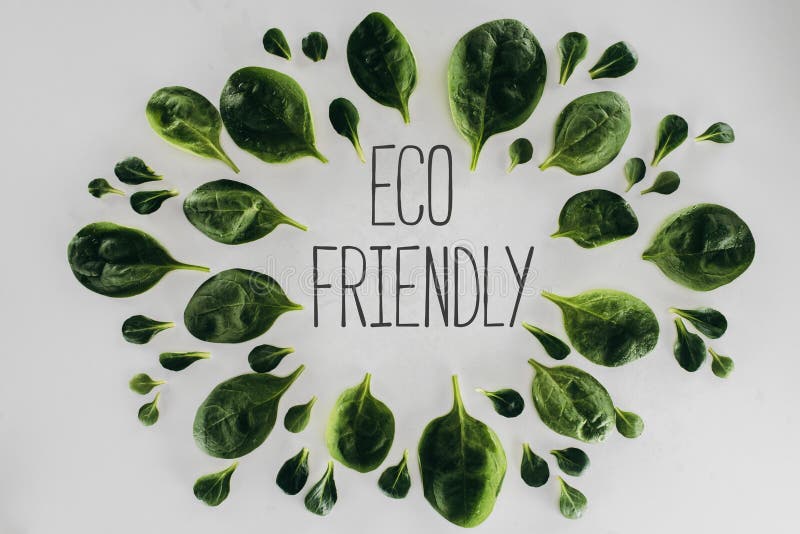 Top View of Green Leaves and Eco Friendly Inscription Stock Image ...