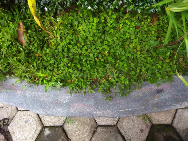 Architectural Plan Grass Top View Set Stock Photos - Free & Royalty ...