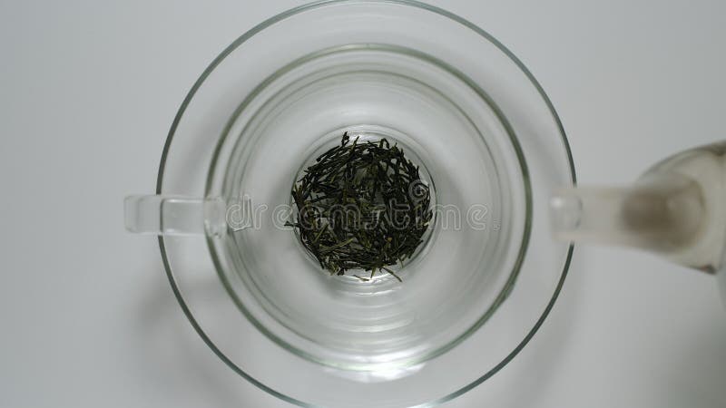 TOP VIEW: Green Tea Leaves in Glass Cup Stock Photo - Image of green ...