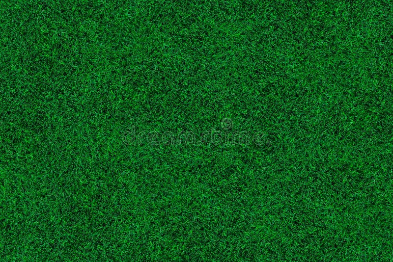 Top View of Green Turf Texture for Pattern and Background Stock Image ...