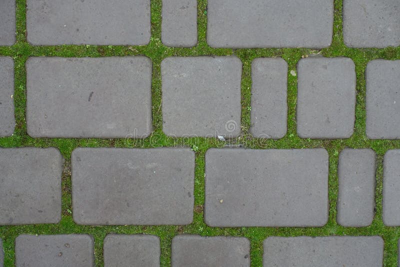 Top View of Gray Concrete Pavement with Moss in the Joints Stock Photo ...