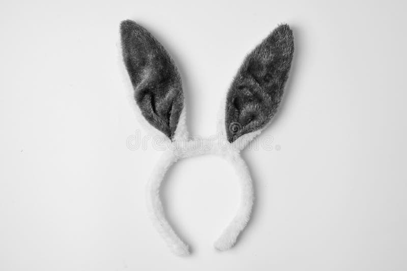 Top View of Grey Rabbit Ears on White Background Easter Minimal Blogger ...