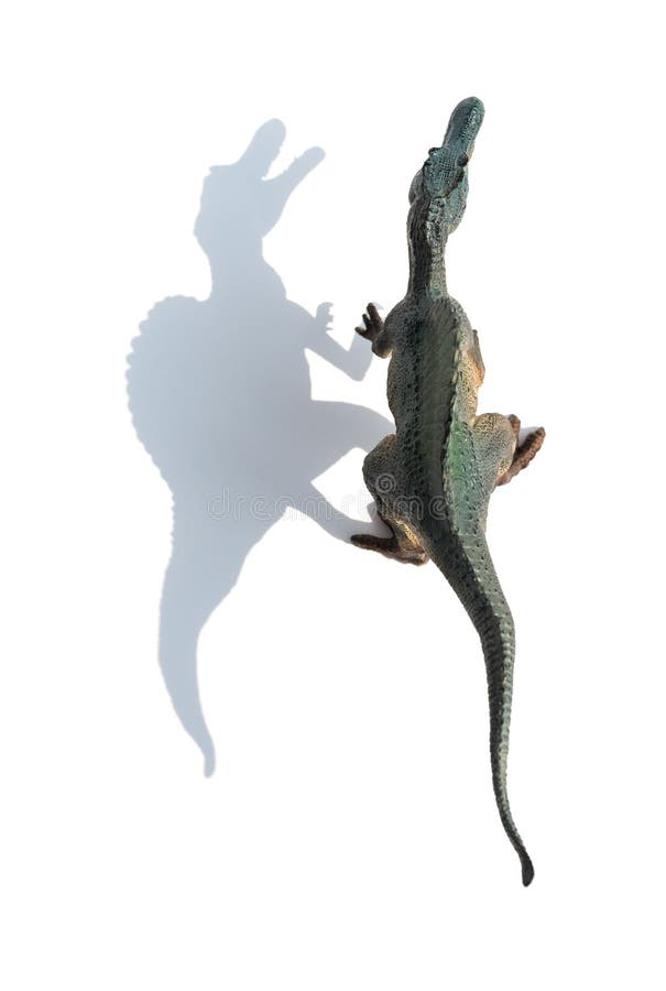 Top View Grey Spinosaurus Toy on White with Shadow Stock Image - Image ...