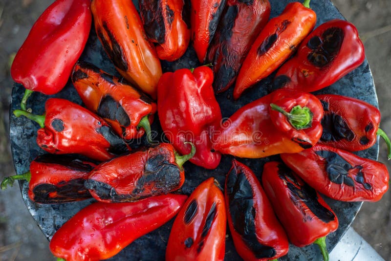 Top View of Grilled Red Peppers. Stock Image - Image of healthy ...