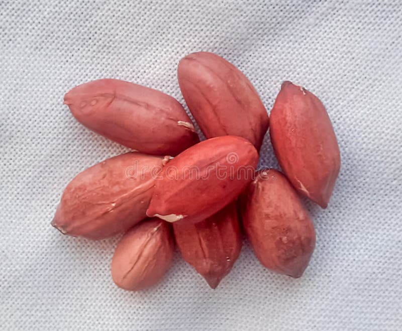 Top View of Groundnut Nuts Pile Arranged on White Stock Photo - Image ...