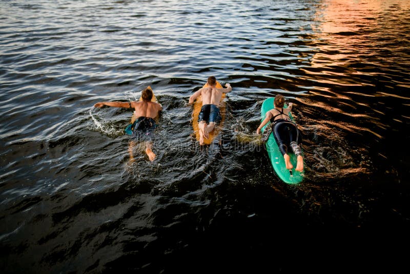 130 Top View Surf Boards Stock Photos - Free & Royalty-Free Stock ...